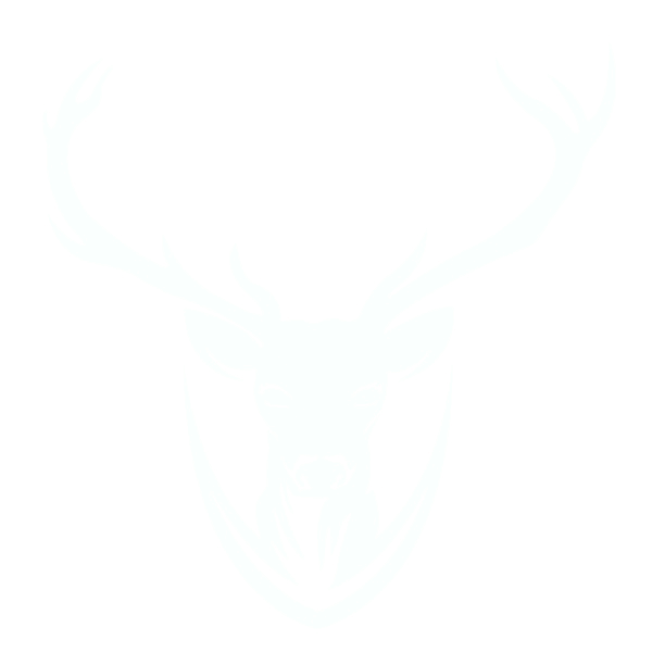 Symphony Interactive – Custom Enterprise Solutions